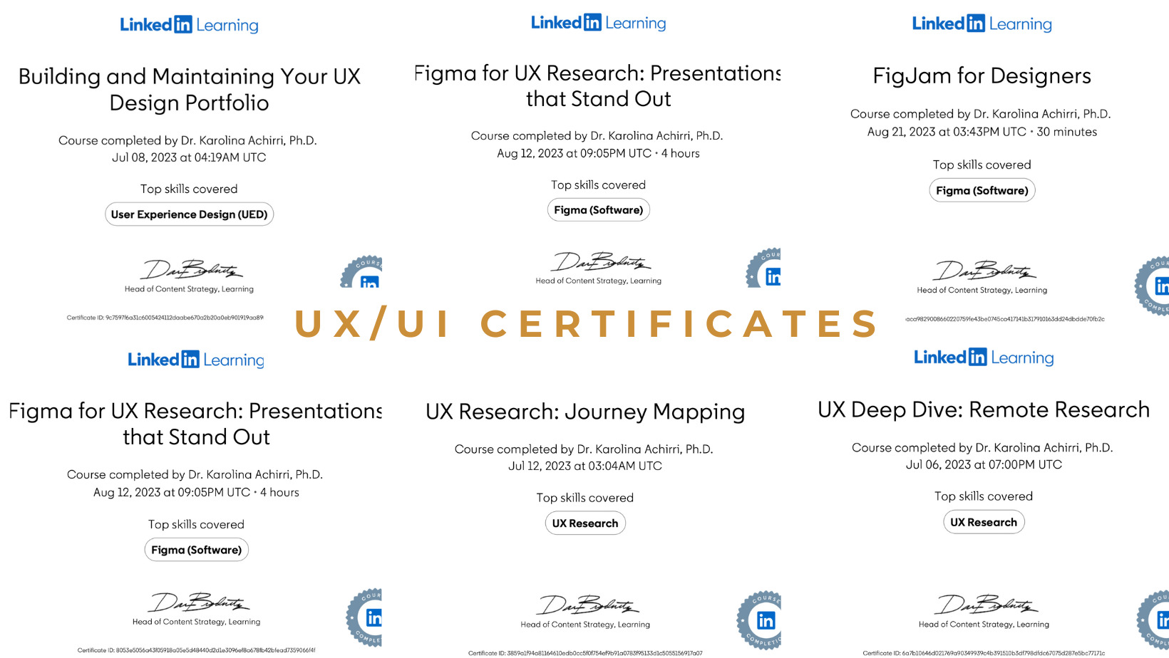 Resume/CV – Karolina Achirri, Ph.D.